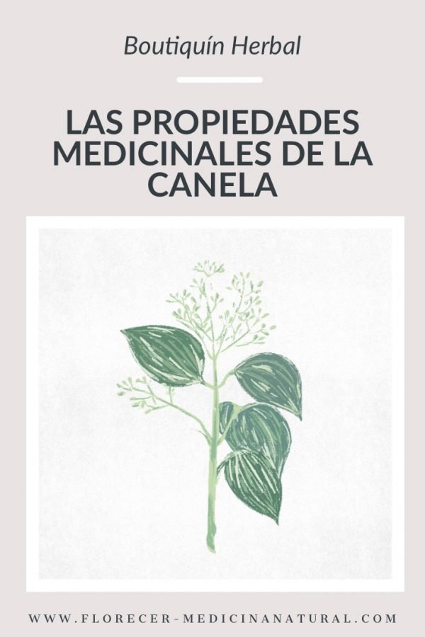 propiedades medicinales de la Canela
