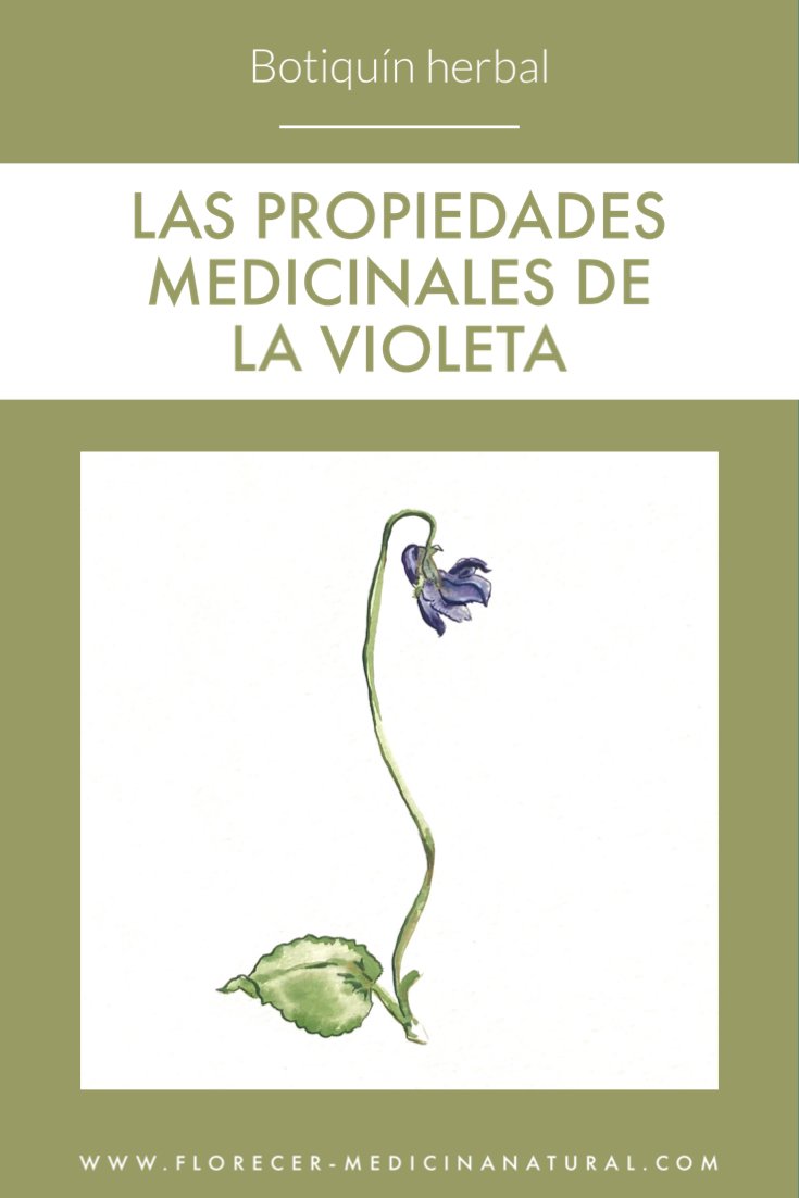 propiedades medicinales de la violeta