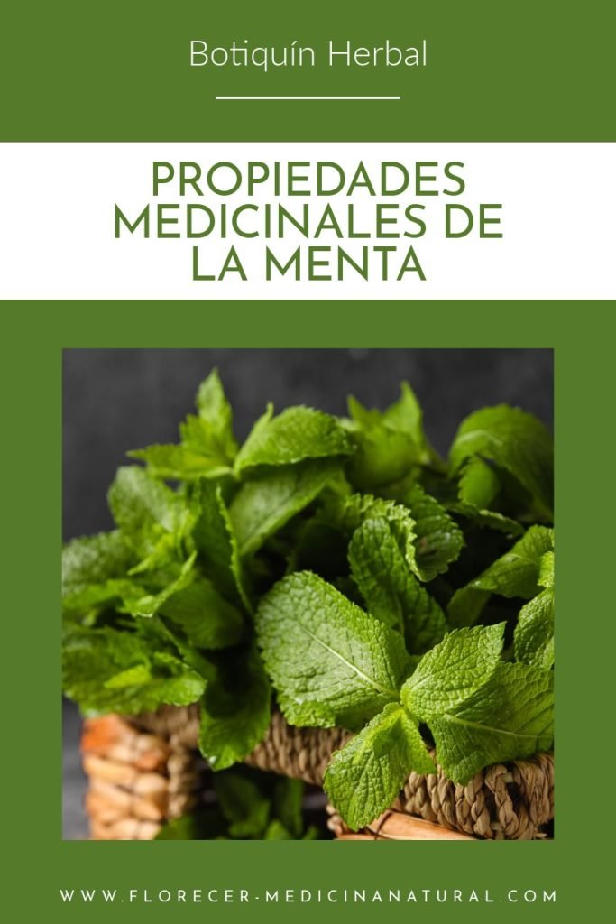 Las propiedades de la Menta (Menta piperita) - Florecer Medicina Natural