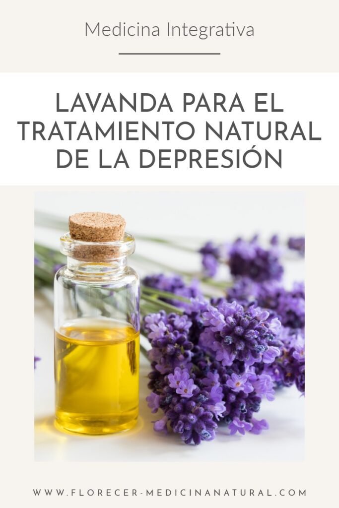 Lavanda para el alma: tradición y ciencia en el tratamiento natural de ...